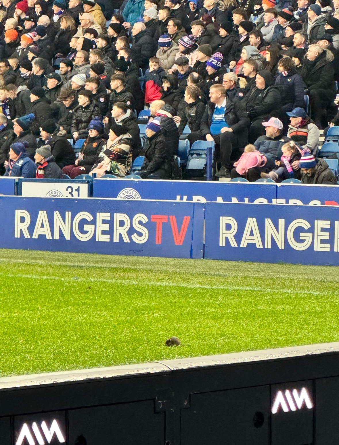 The Famous Sevco Thread; Martin bagged || Rohl With It - Page 4334 ...