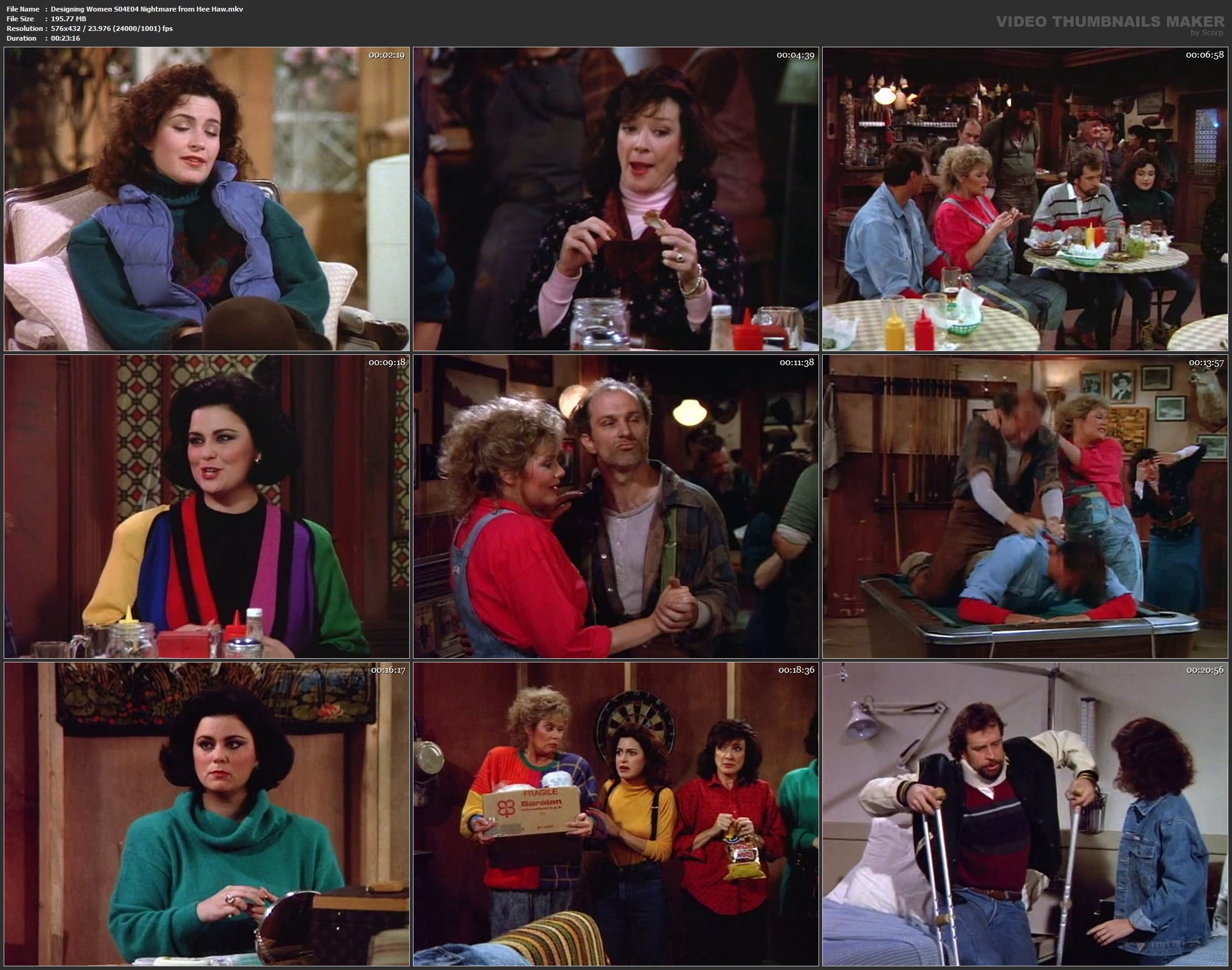 Designing Women S04 E04 Nightmare from Hee Haw mkv — Postimages