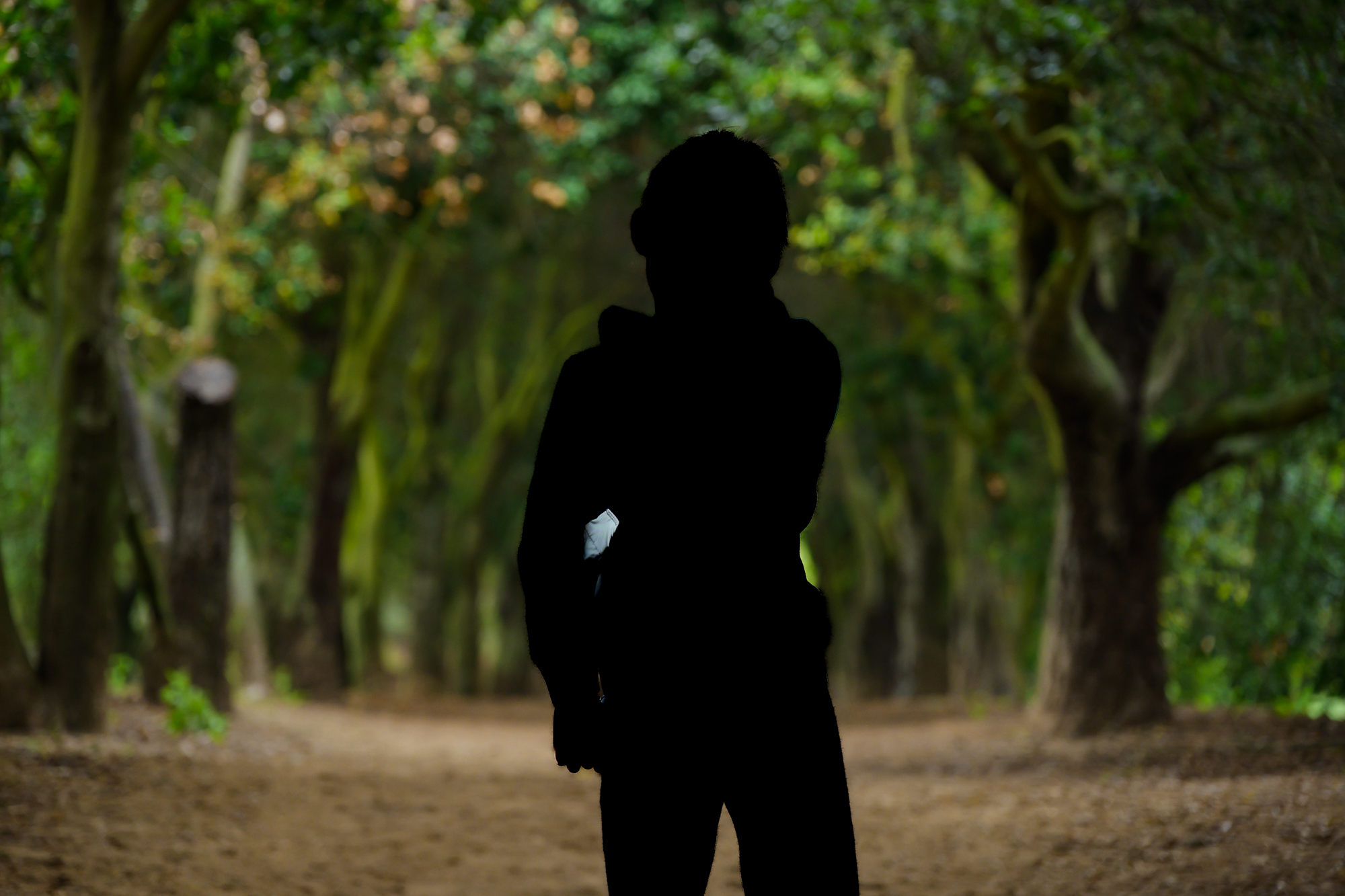 120 F4 — Postimages