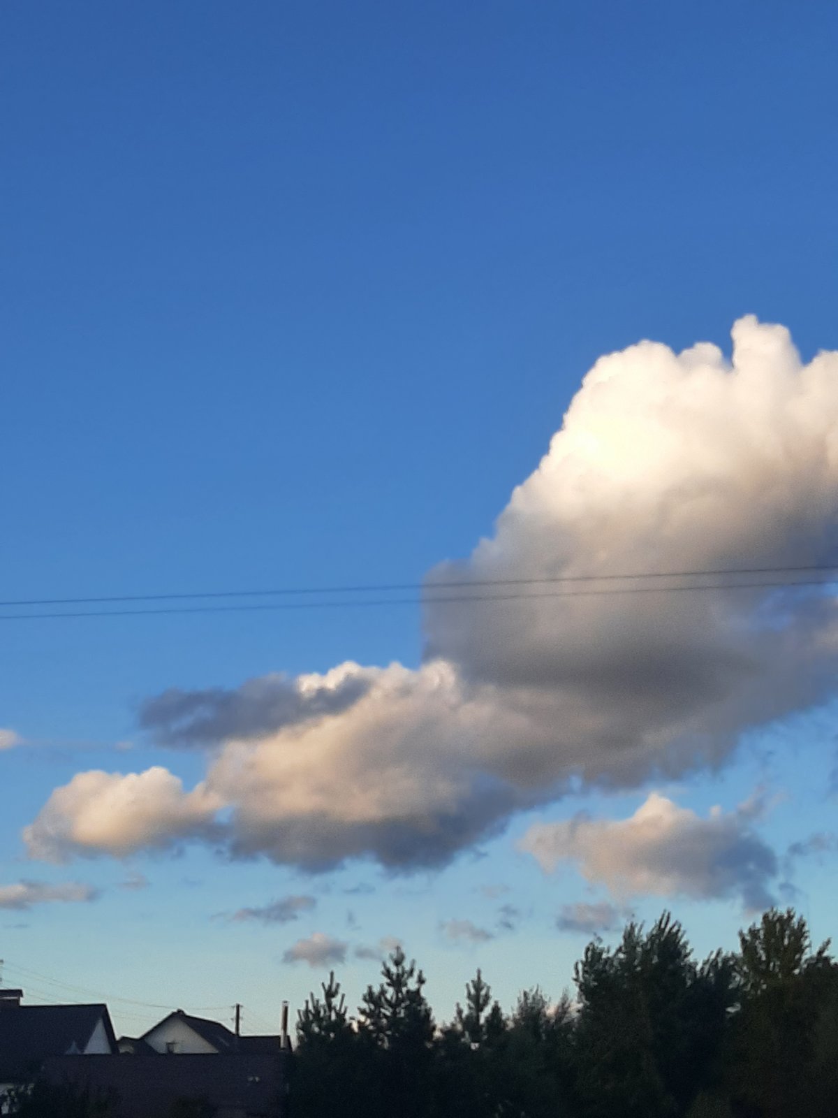 IMG cdbe699e188a6452fd306866fe8c4328 V — Postimages