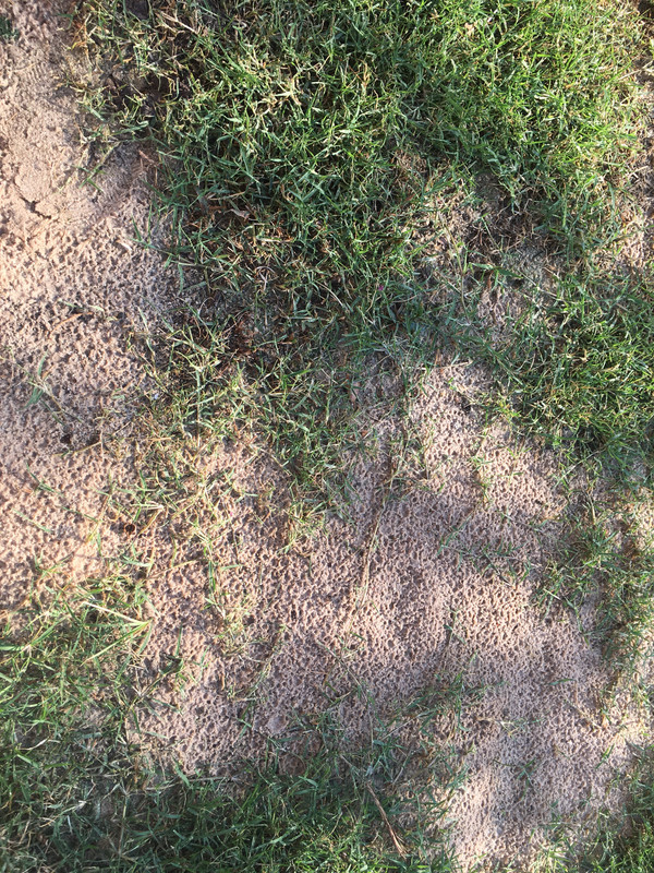 DAF77 E6 B DC21 4 B9 B 89 EC DBF0391 D1 C09 — Postimages