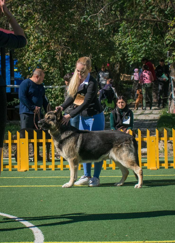 20181006 DSC 0664 — Postimages