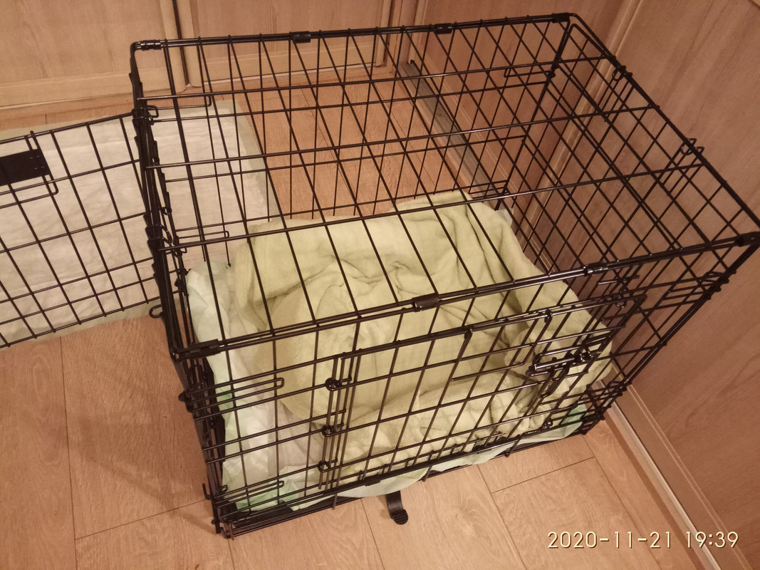 2 Do I6w KGSqg — Postimages