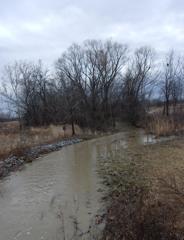 RunningAHEAD - Topic: Further and Faster in February '23!