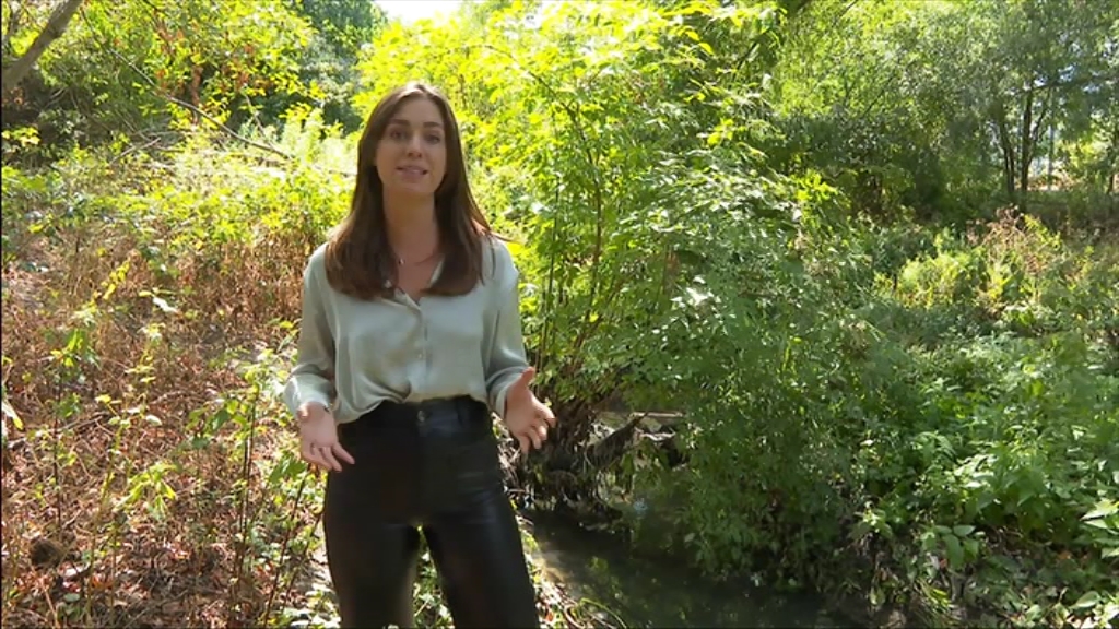 BBC London News 20220827 18501855 ts snapshot 07 24 102 — Postimages