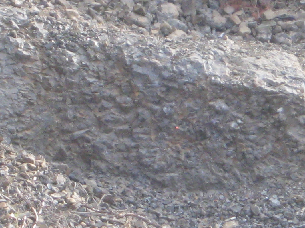 18 9 1 Chip Left — Postimages