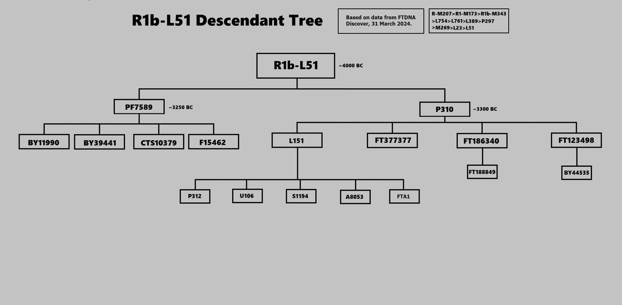 R1b L51 Descendant Tree — Postimages