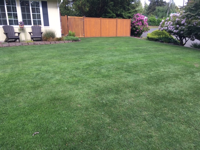 Turf Guy Fitz in the PNW | Lawn Care Forum