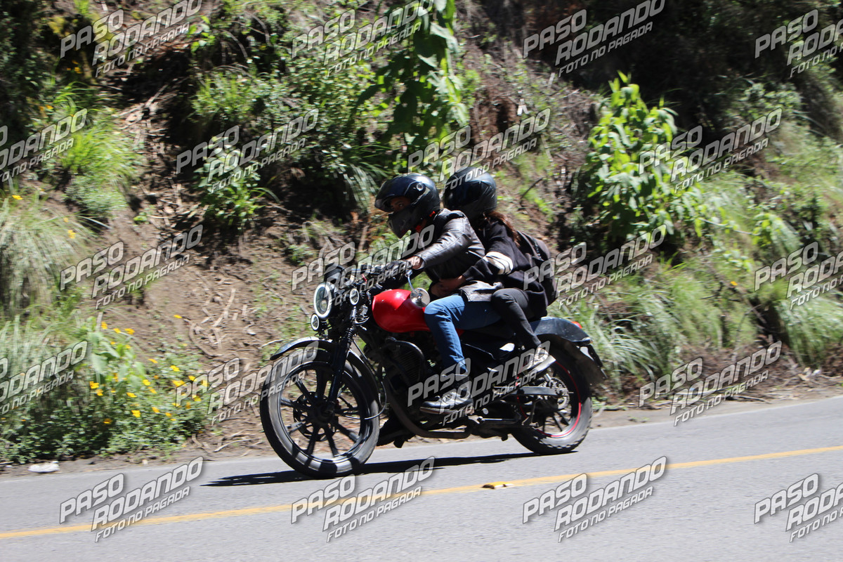 IMG 3613 wm 18898 200000000186 watermarked — Postimages