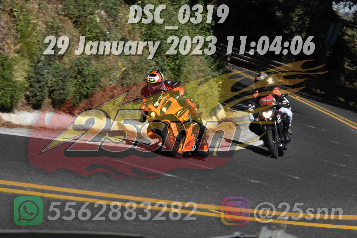 DSC 0319 — Postimages