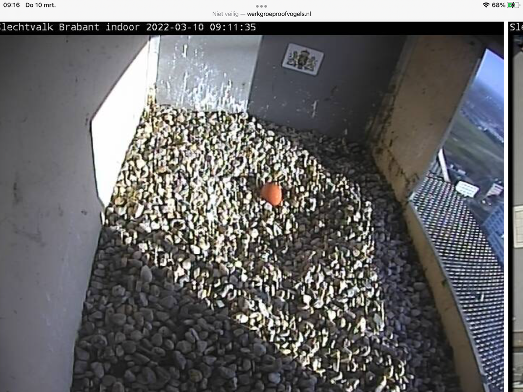 34 D96 E3 C 91 F1 4811 BB47 7 D71 E6 FCE772 — Postimages