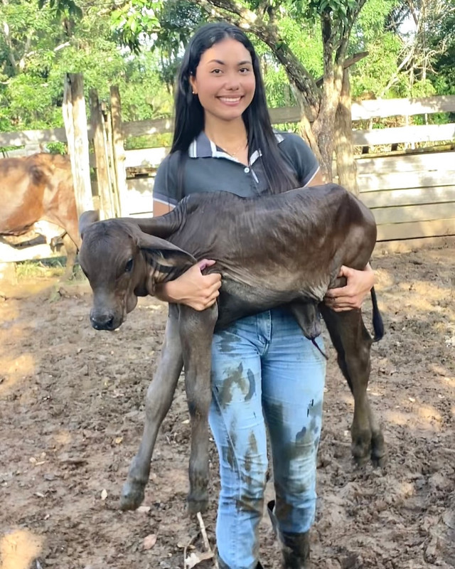 IMG 1852 — Postimages