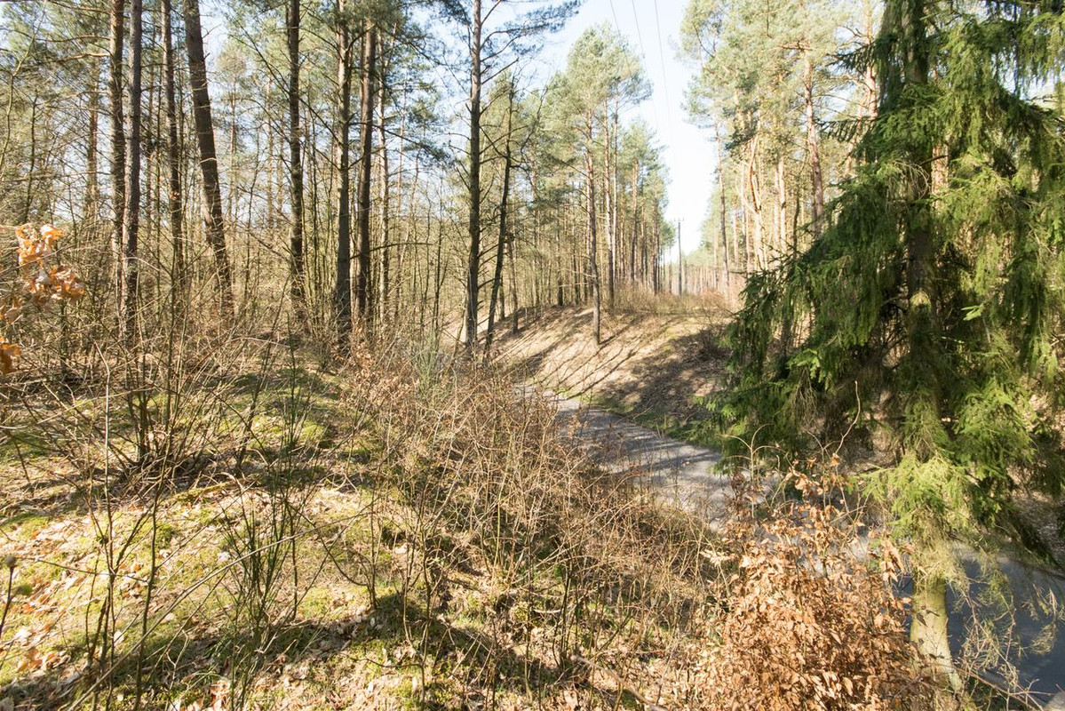 DSC 0036 — Postimages