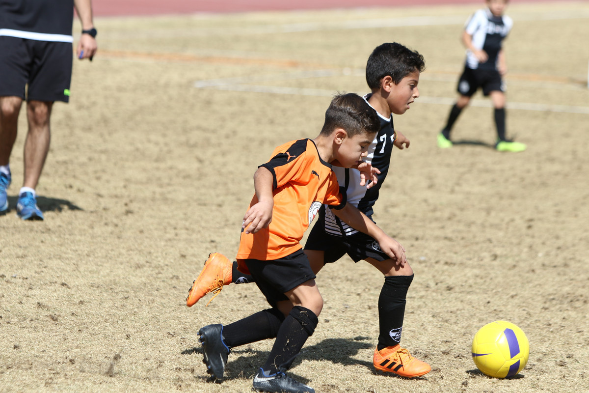 VIK 2228 — Postimages