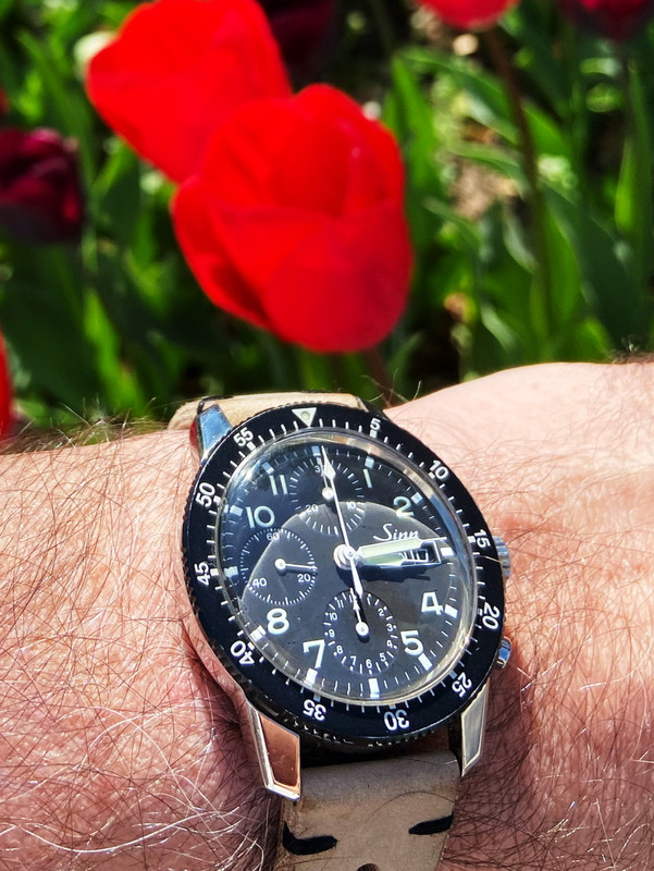 46 CED130 6014 49 C8 81 D4 8 DB3 ADE1 B93 A — Postimages