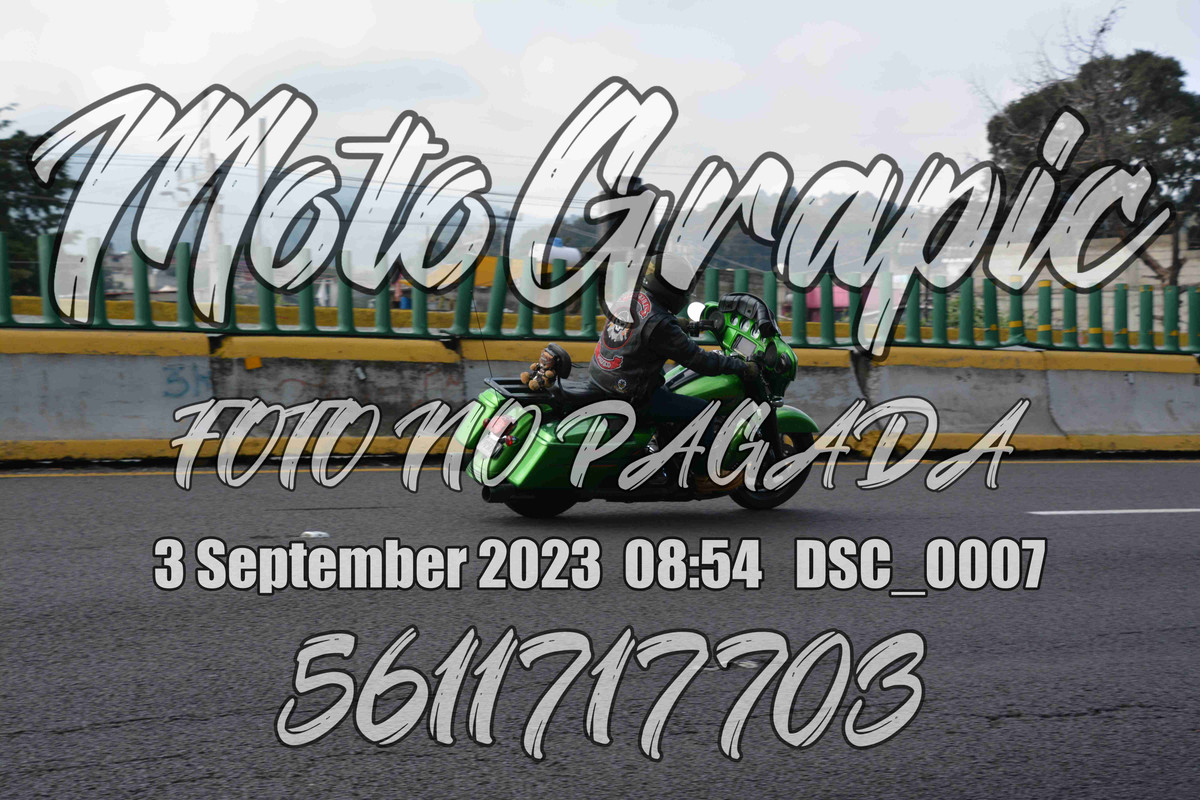 motgr DSC 0007 — Postimages