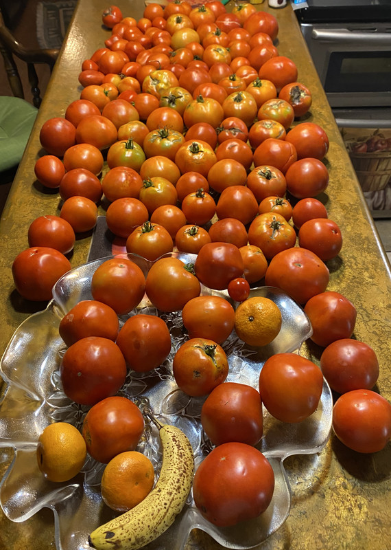 797465 CE 9 ED4 46 D6 8 CC5 28318 B053 AC4 — Postimages