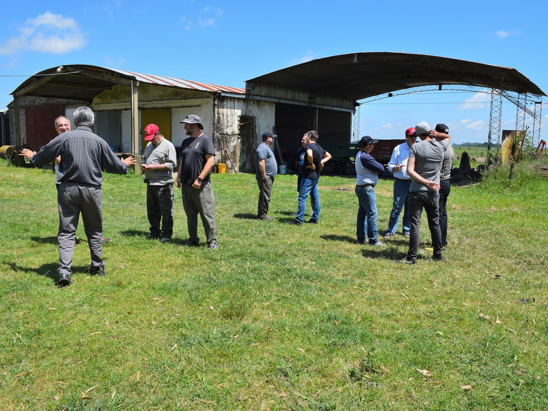 DSC 0016 — Postimages