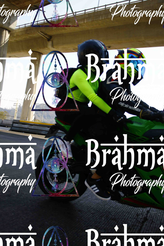 MG 1237 — Postimages