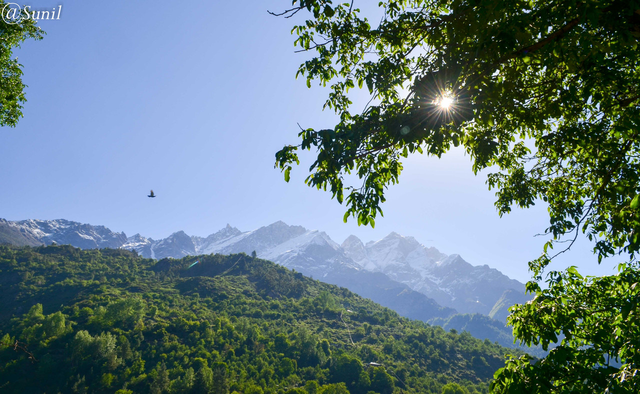 A day in the beautiful Sangla Valley…….!!! | Joy Club