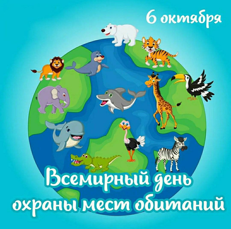 IMG 20231006 111249 223 — Postimages