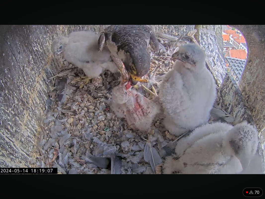 IMG 0846 — Postimages