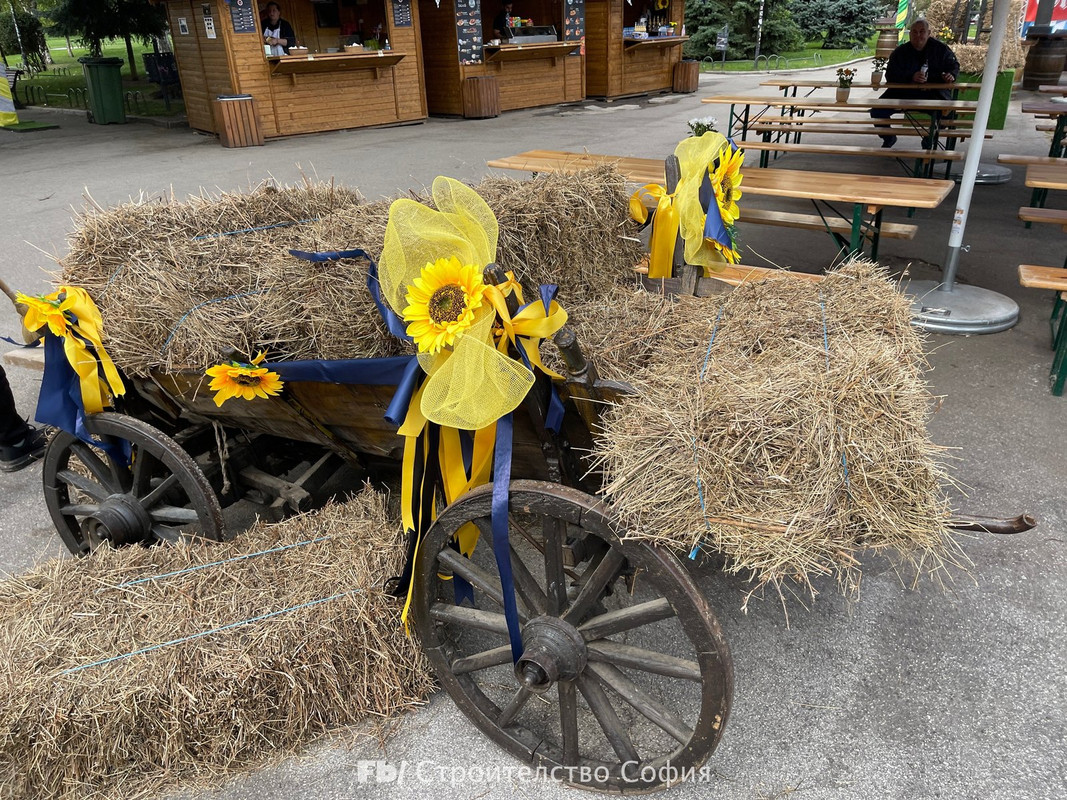 dr IMG 8251 — Postimages