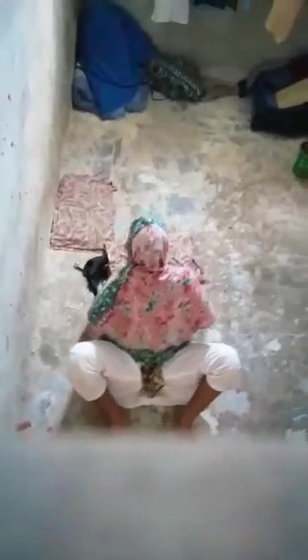 IMG 20231112 005902 551 — Postimages