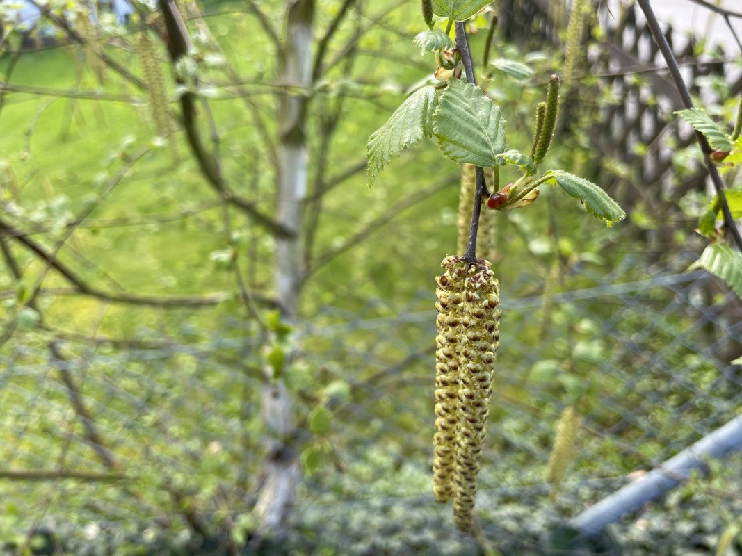 E352618 D 0653 4 F09 A8 CA A02 B92 C300 FB — Postimages