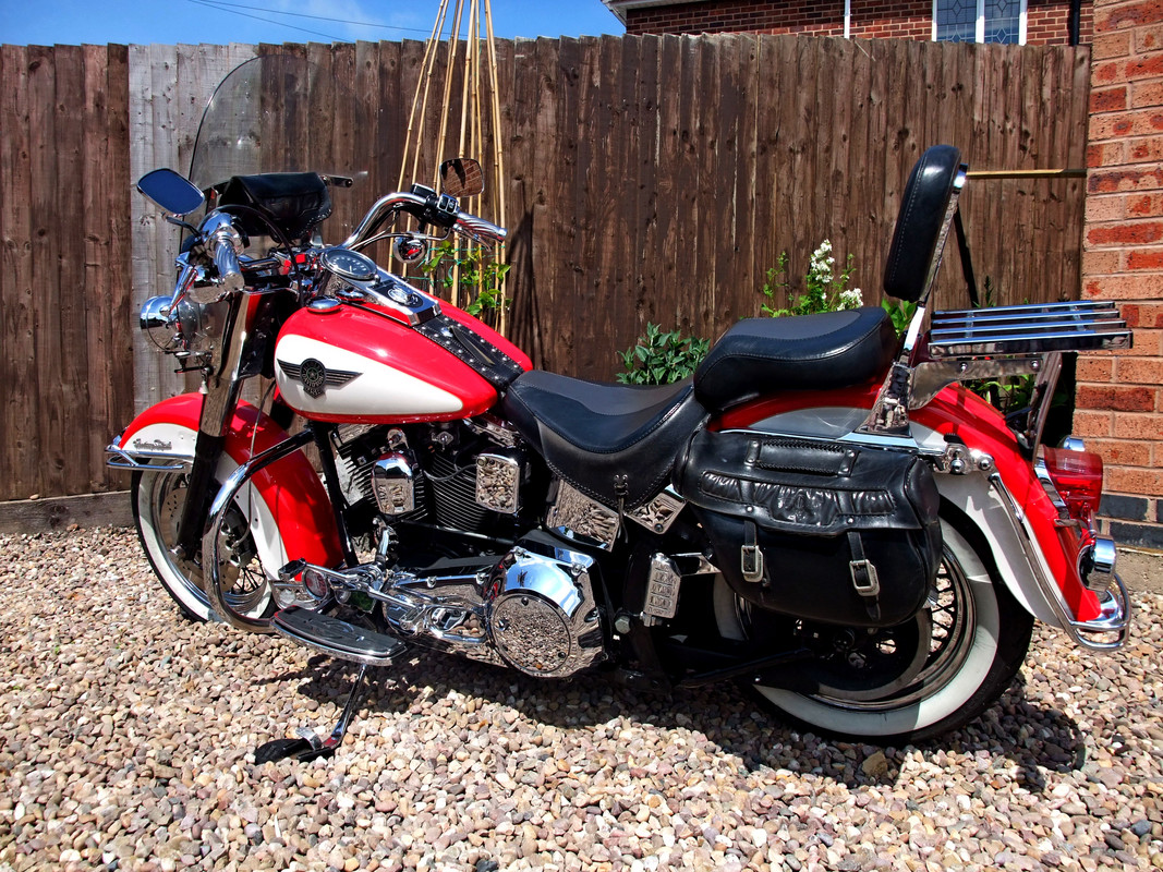 96 softail nostalgia or special? | Harley Davidson Forums