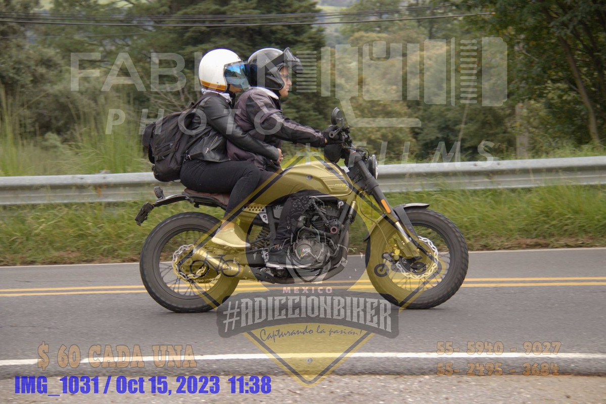 IMG 1031 — Postimages