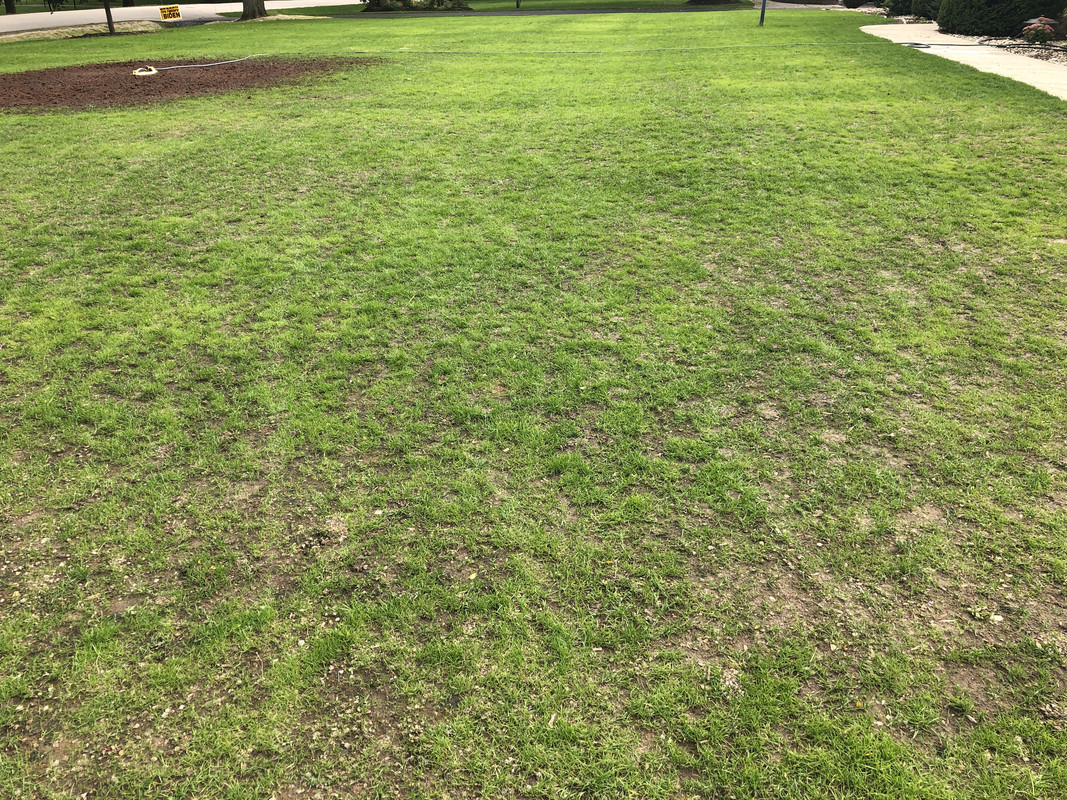 IMG 1970 — Postimages