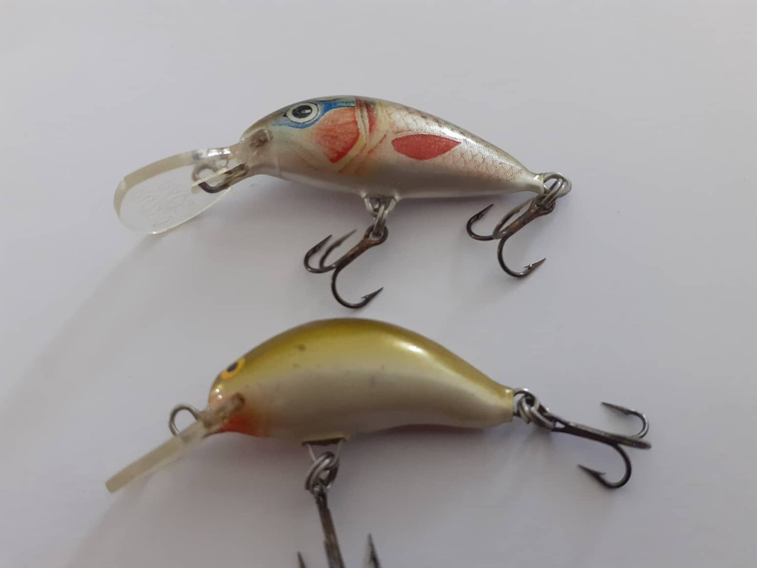 278850887 1165134260925959 8079910129223466233 n — Postimages