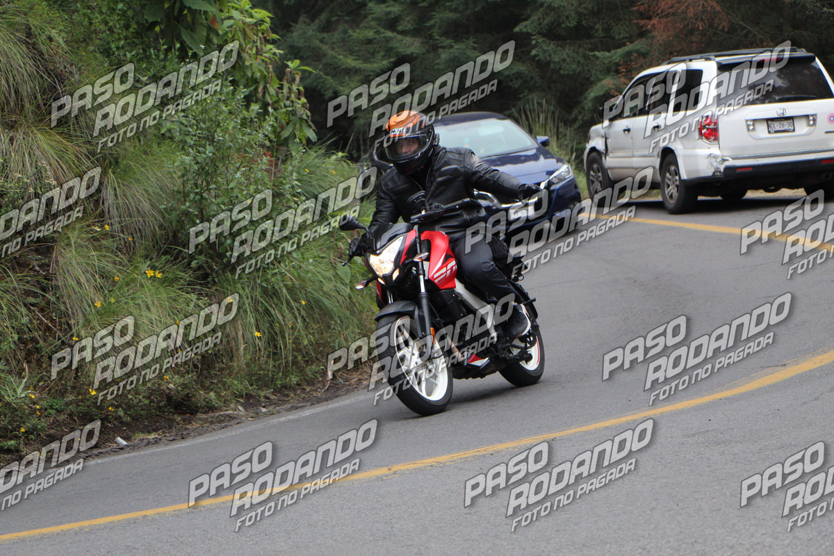 IMG 8375 wm 14804 39999999851 watermarked — Postimages