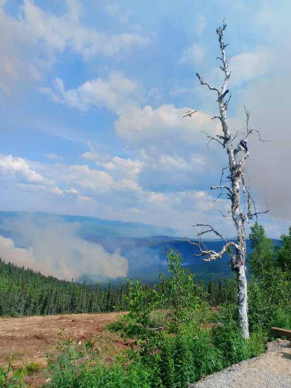 IMG 20250702 133333 — Postimages