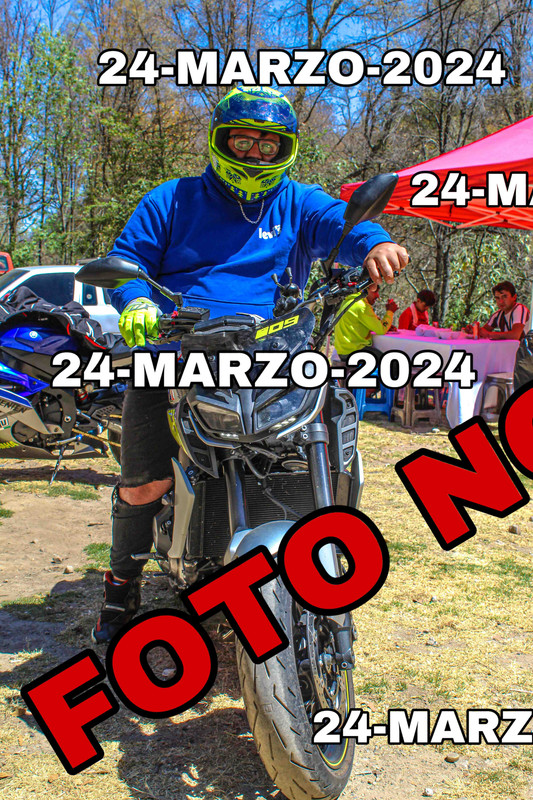 SC 14 — Postimages