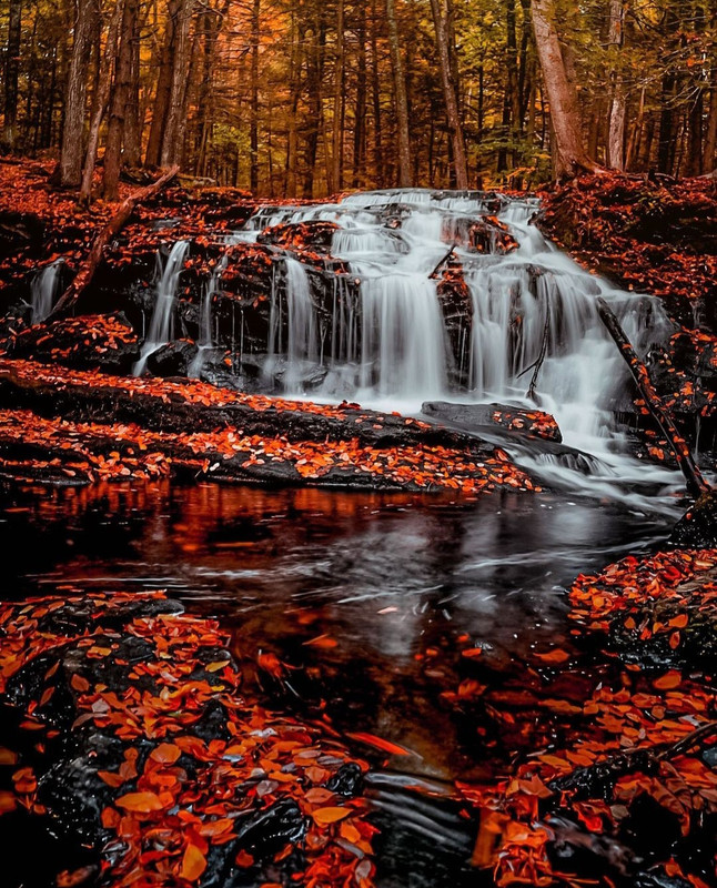 Screenshot 20231206 220102 Instagram — Postimages