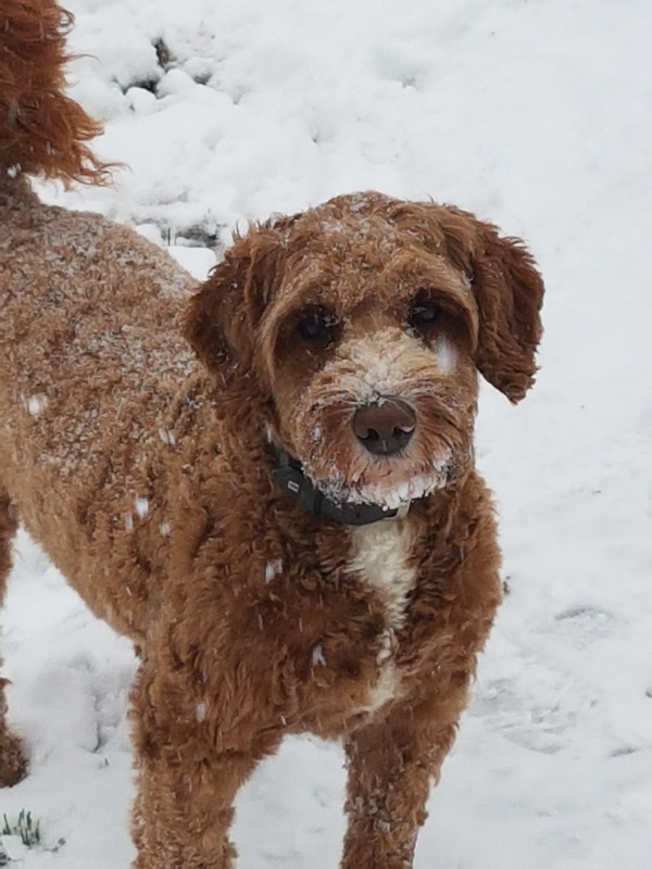 Park 5 — Postimages