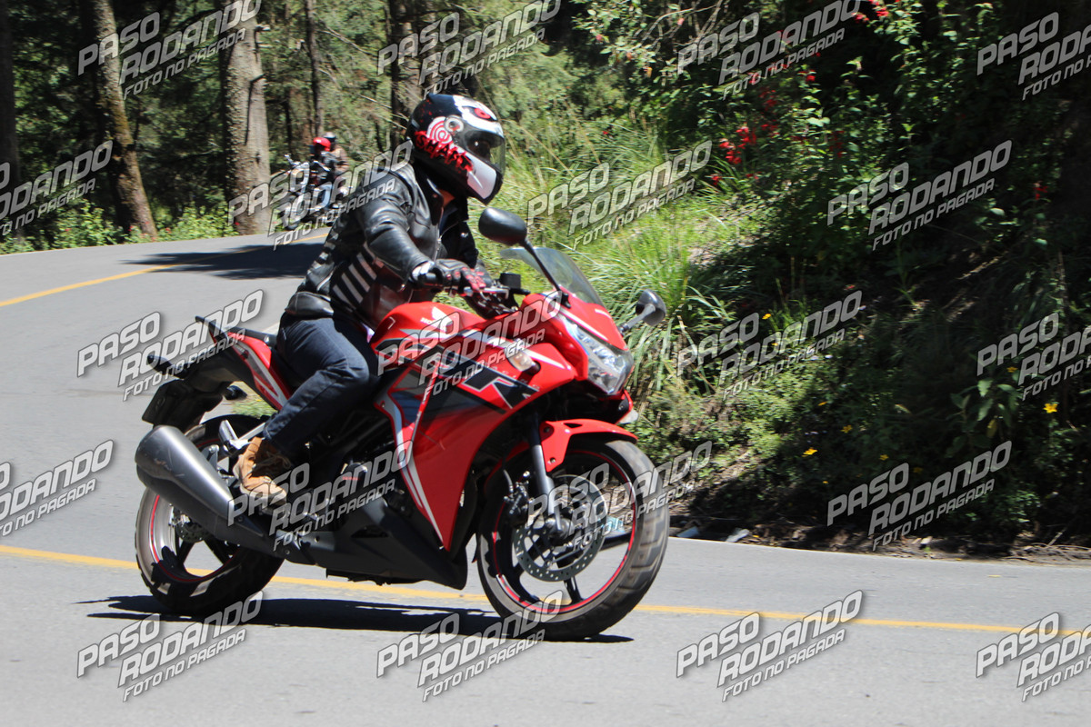 IMG 5609 wm 16702747 899999999 watermarked — Postimages