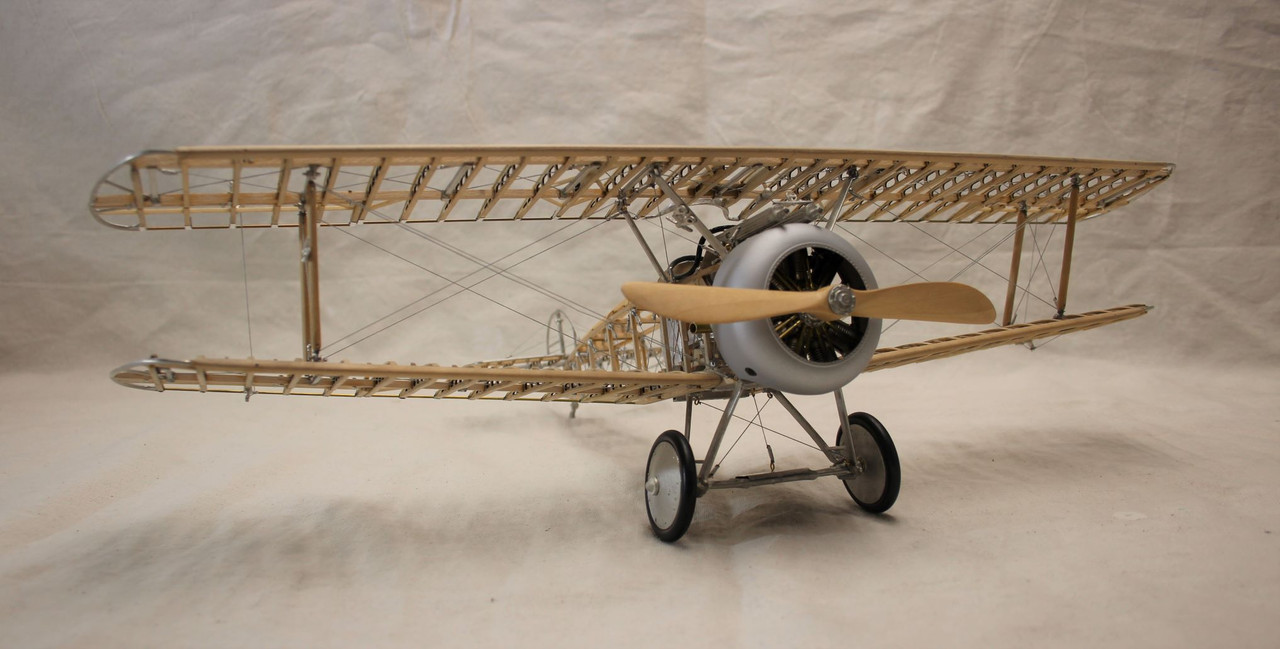 Holy Moly, I finished a model! 1/16 Camel skeleton!! - Ready for ...