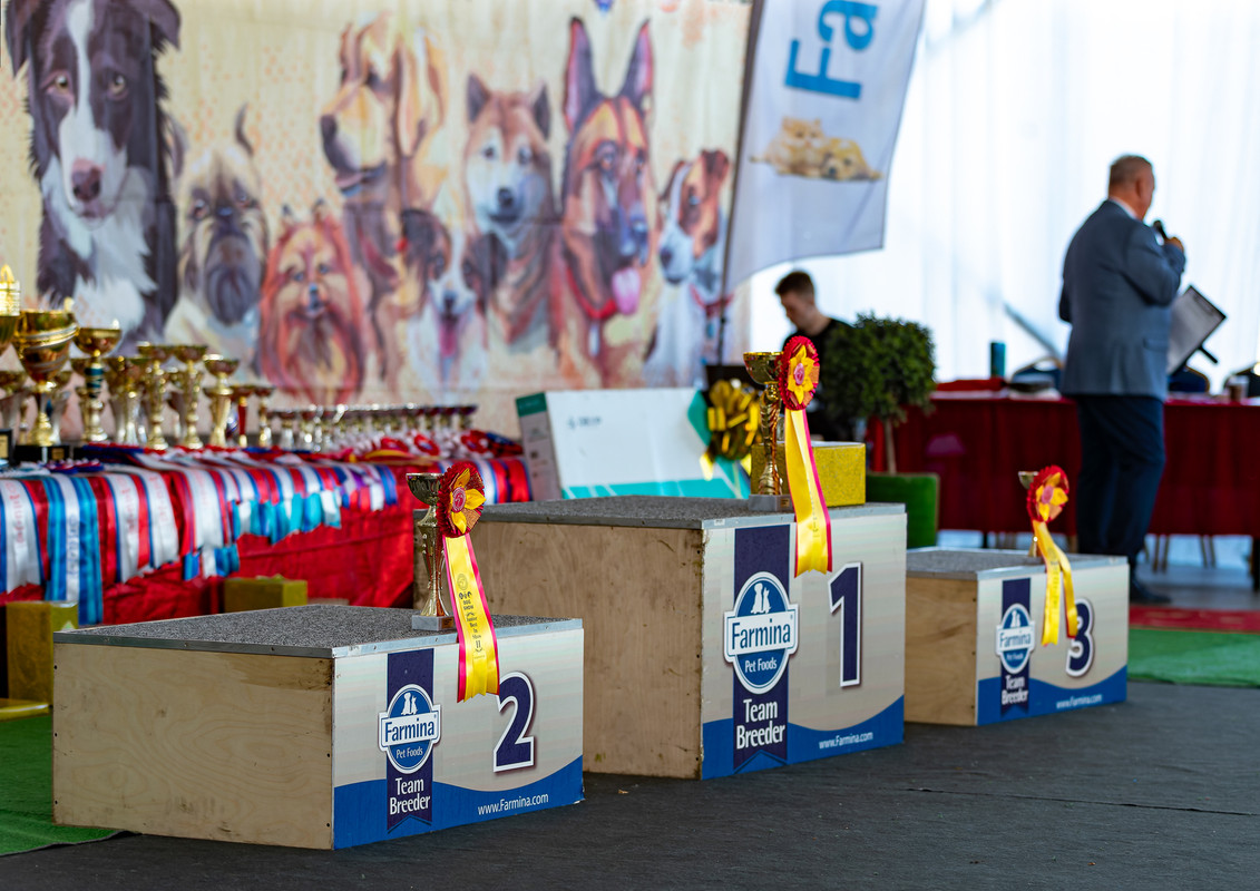 01 298 — Postimages