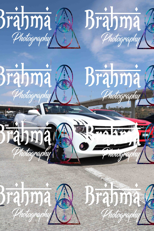 IMG 1834 — Postimages