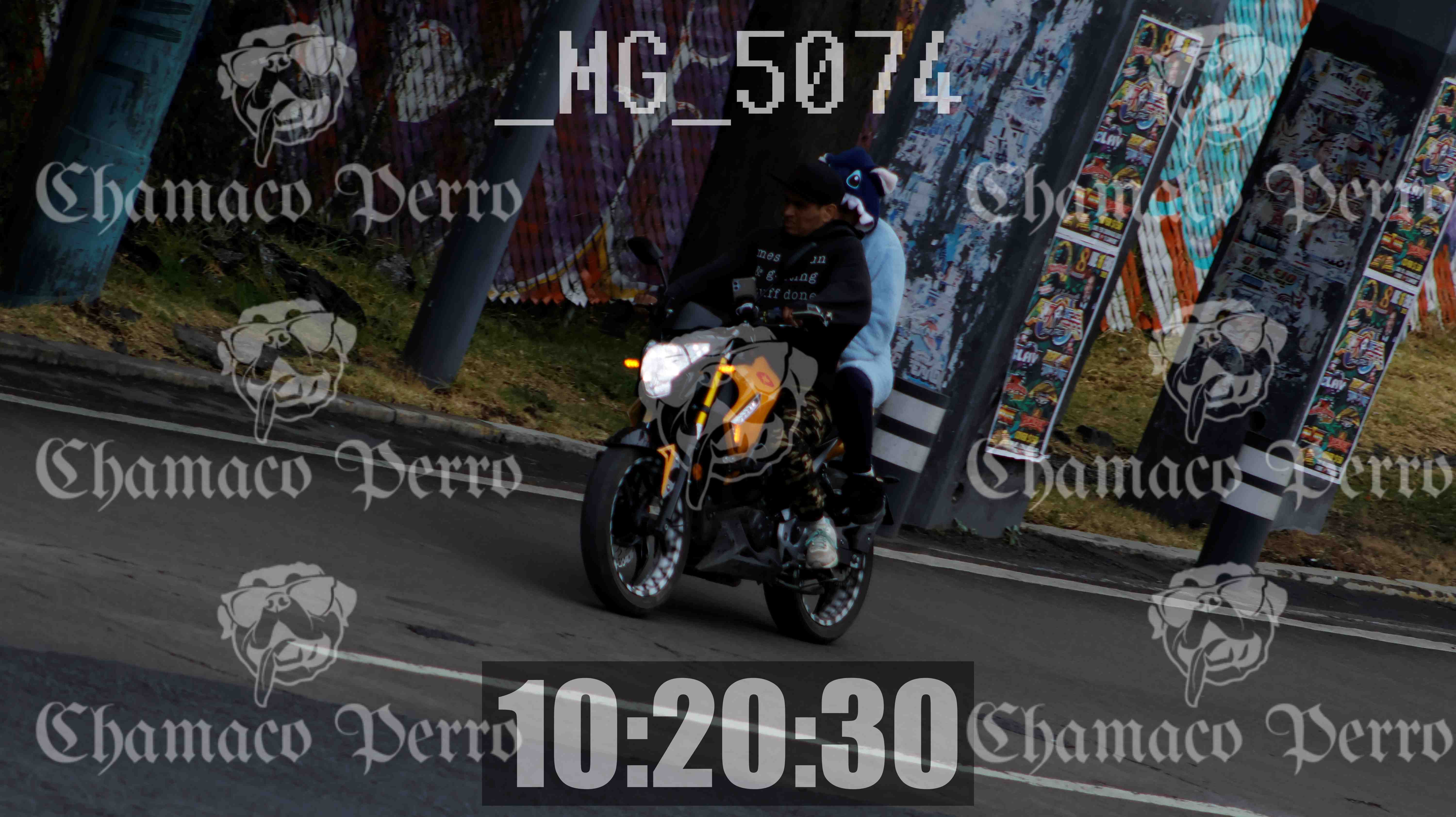 MUESTRA MG 5074 — Postimages