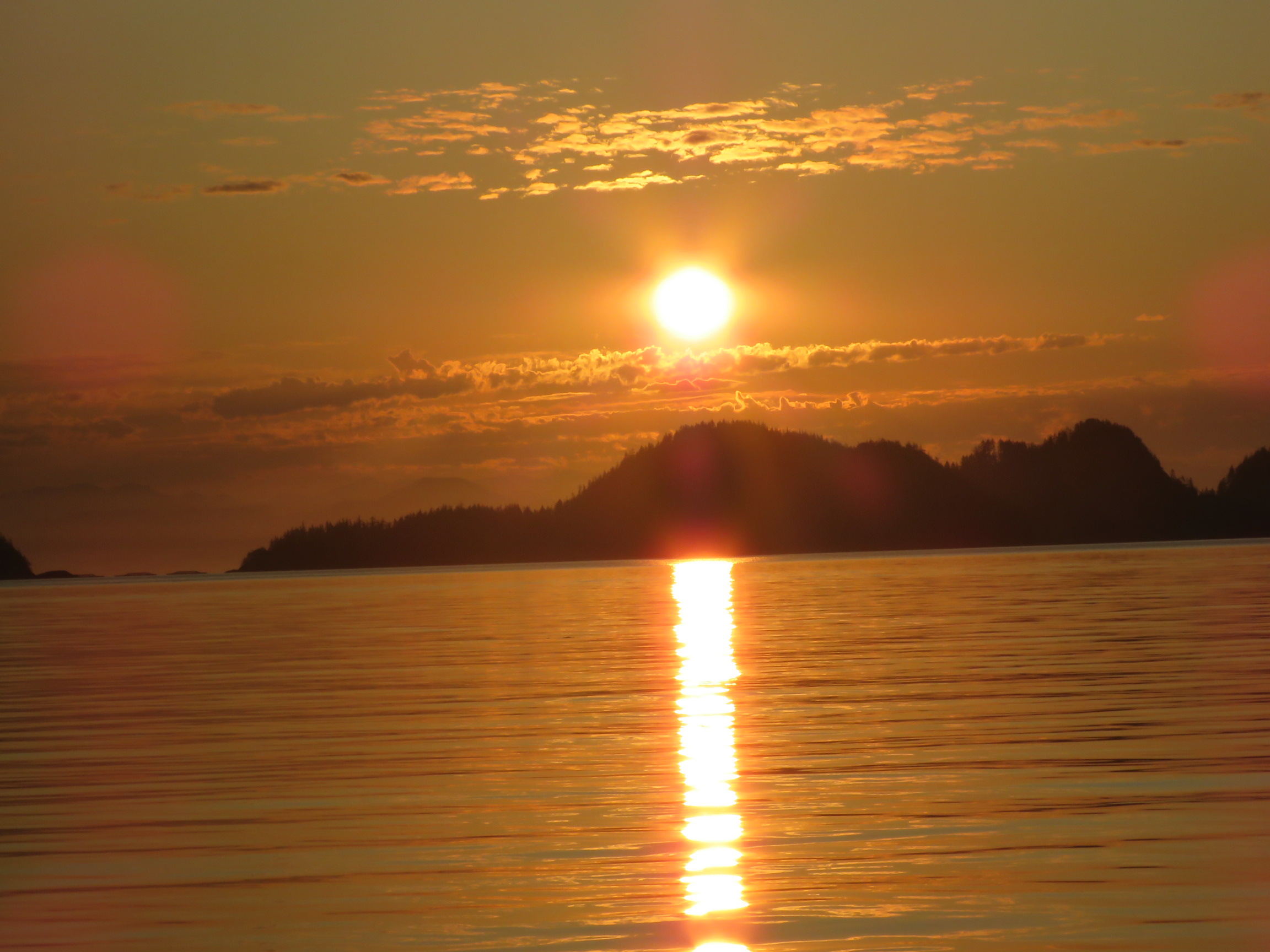 IMG 1440 — Postimages