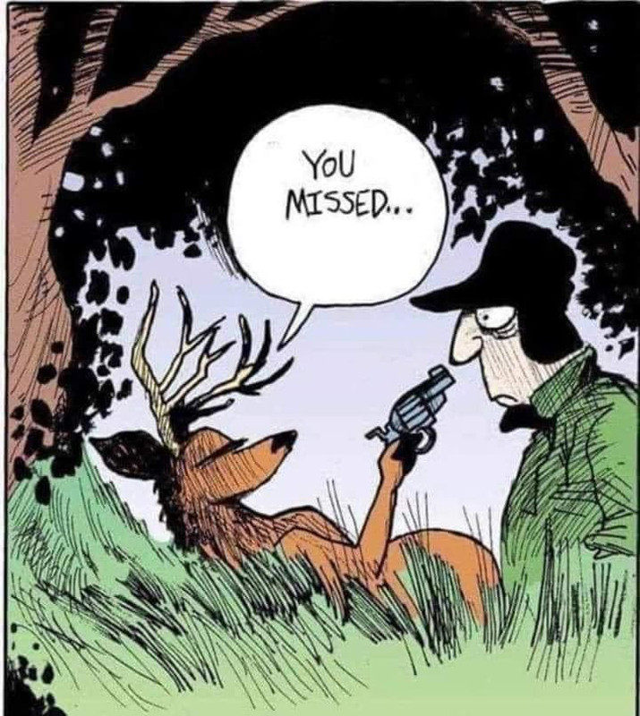 IMG 2039 — Postimages