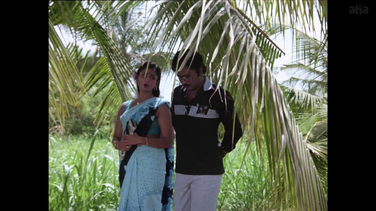 vlcsnap 2024 01 17 19h26m01s730 — Postimages