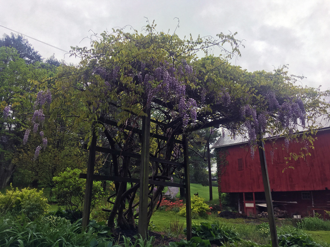 IMG 8673 RT — Postimages