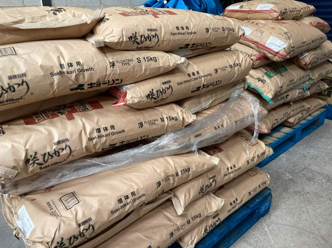 saki mountain2 — Postimages