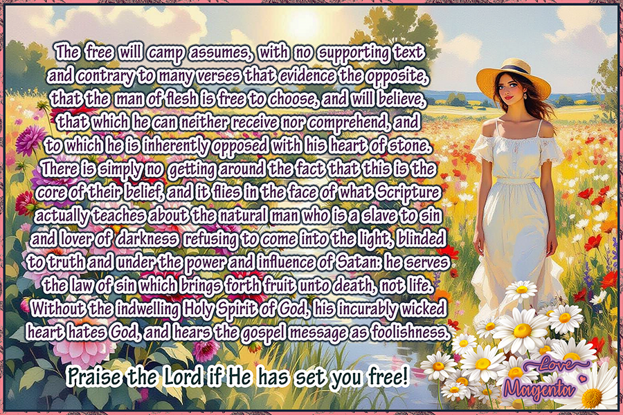 Can We Really Exercise Free Will? - Christian Chat Rooms & Forums