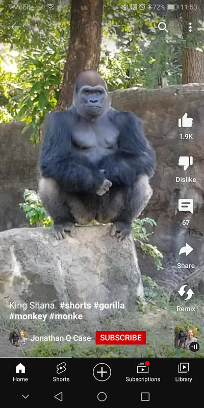 Screenshot 20221116 115328 com google android youtube — Postimages